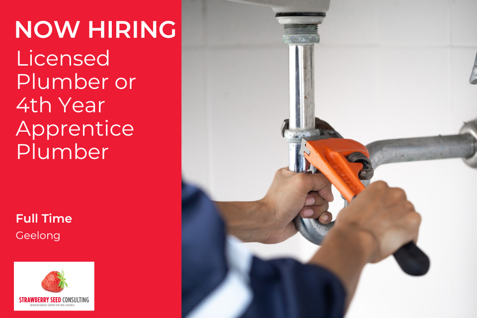 JV TMS LPAP Ad Nov 2022 - Small Business HR Advice | Strawberry Seed ...