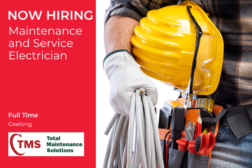 JV TMS MSE Ad Feb 2024 - Small Business HR Advice | Strawberry Seed ...