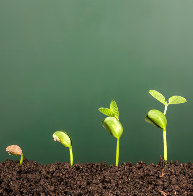 Growing Your Knowledge - Module 4 - Small Business HR Advice ...